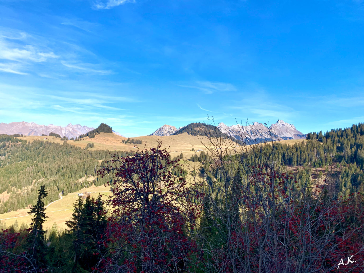 Randonnée depuis le Col des Mosses – Canton de Vaud – Anna & Aka